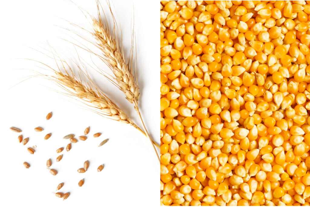 home - Iman Resources